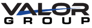 Valor Group LLC – Consumer Electronics Distributors